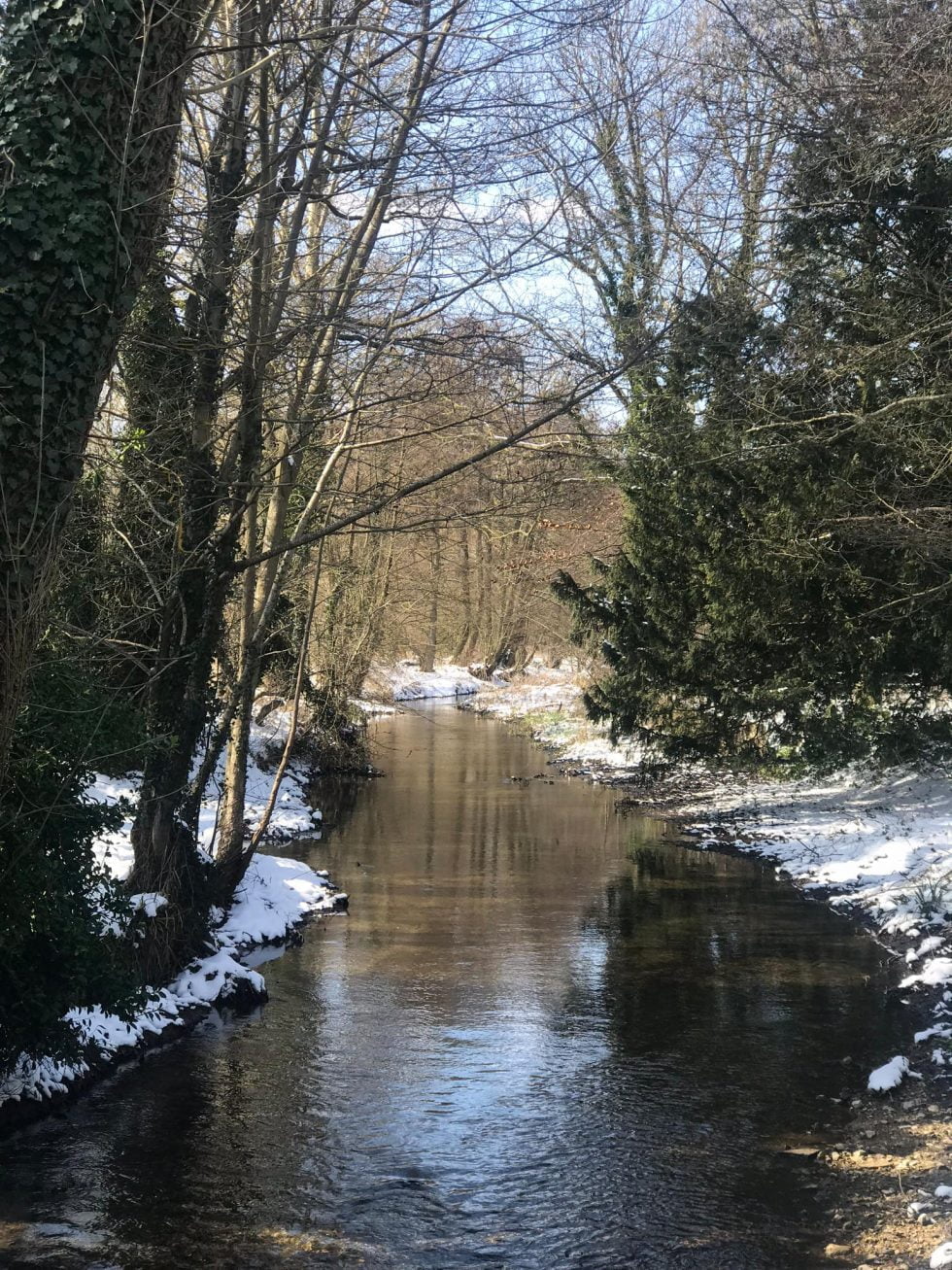 The Pang and Conservation | Stanford Dingley Village